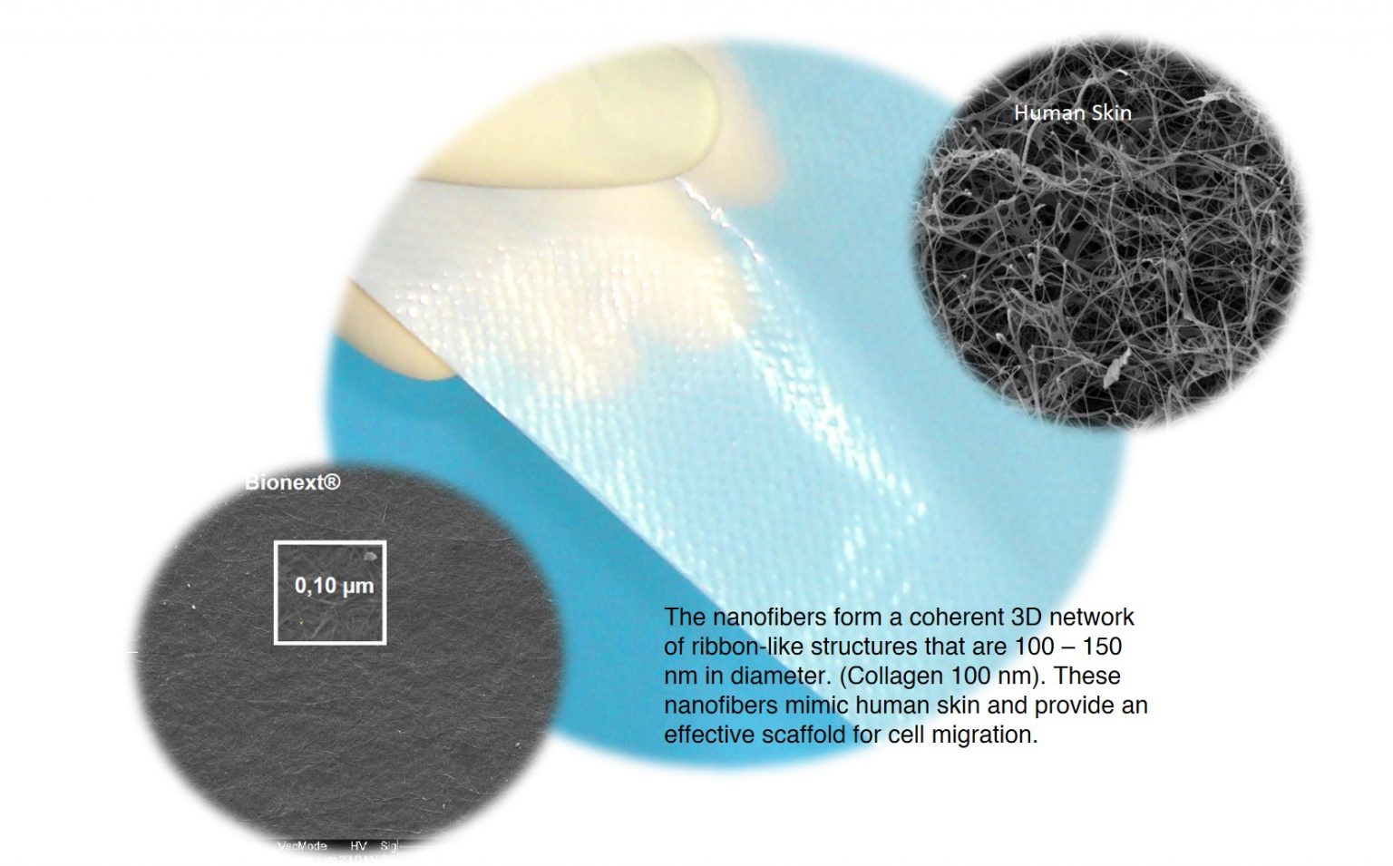 Bionext® Biocellulose Dressing - Dyamed Biotech